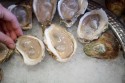 Sommelier Loves Pairing Wine with PEI Shellfish and Seafood - Natalie ...