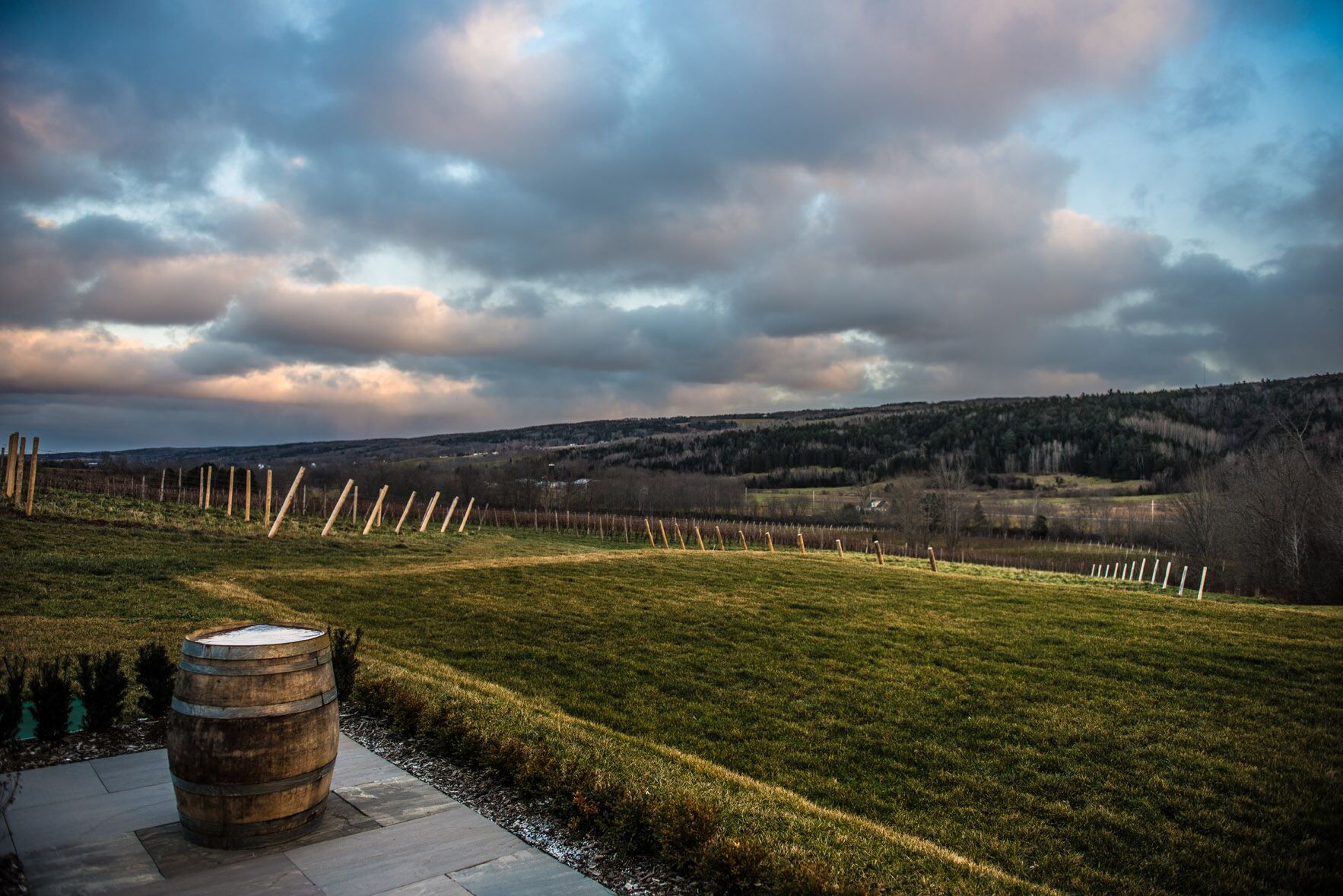Benjamin Bridge: The Nova Scotia Winery That Crossed the Country (Video ...