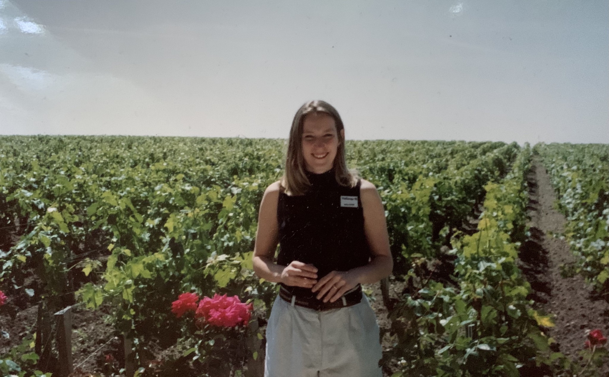Stories Behind Family-Owned Canadian Wineries (Video) - Natalie MacLean
