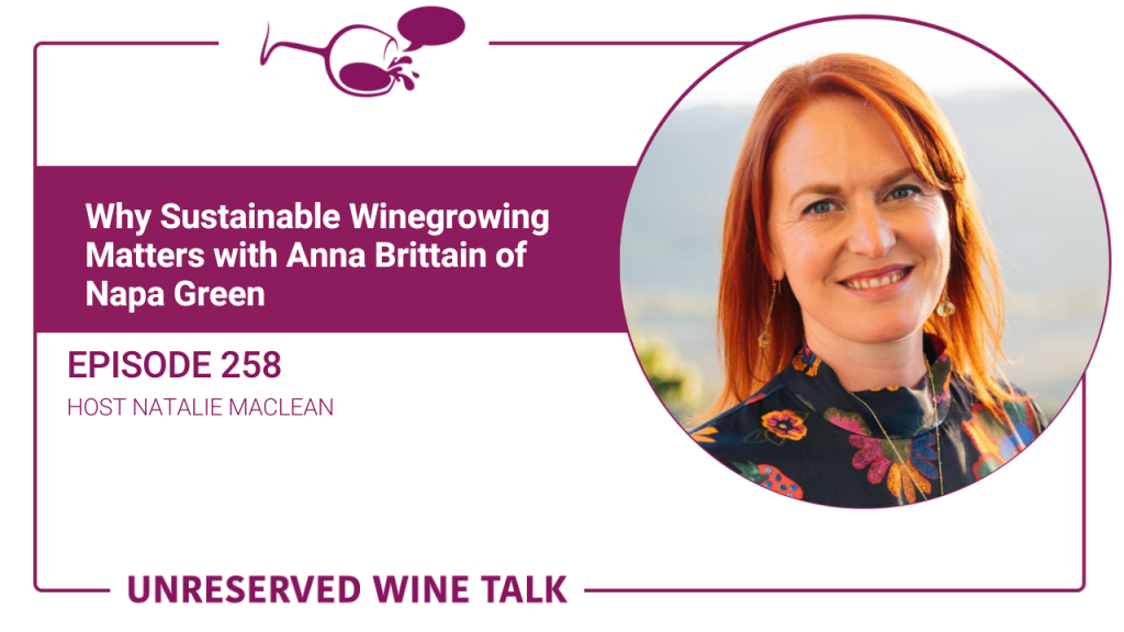 Why Sustainable Winegrowing Matters with Anna Brittain of Napa Green ...