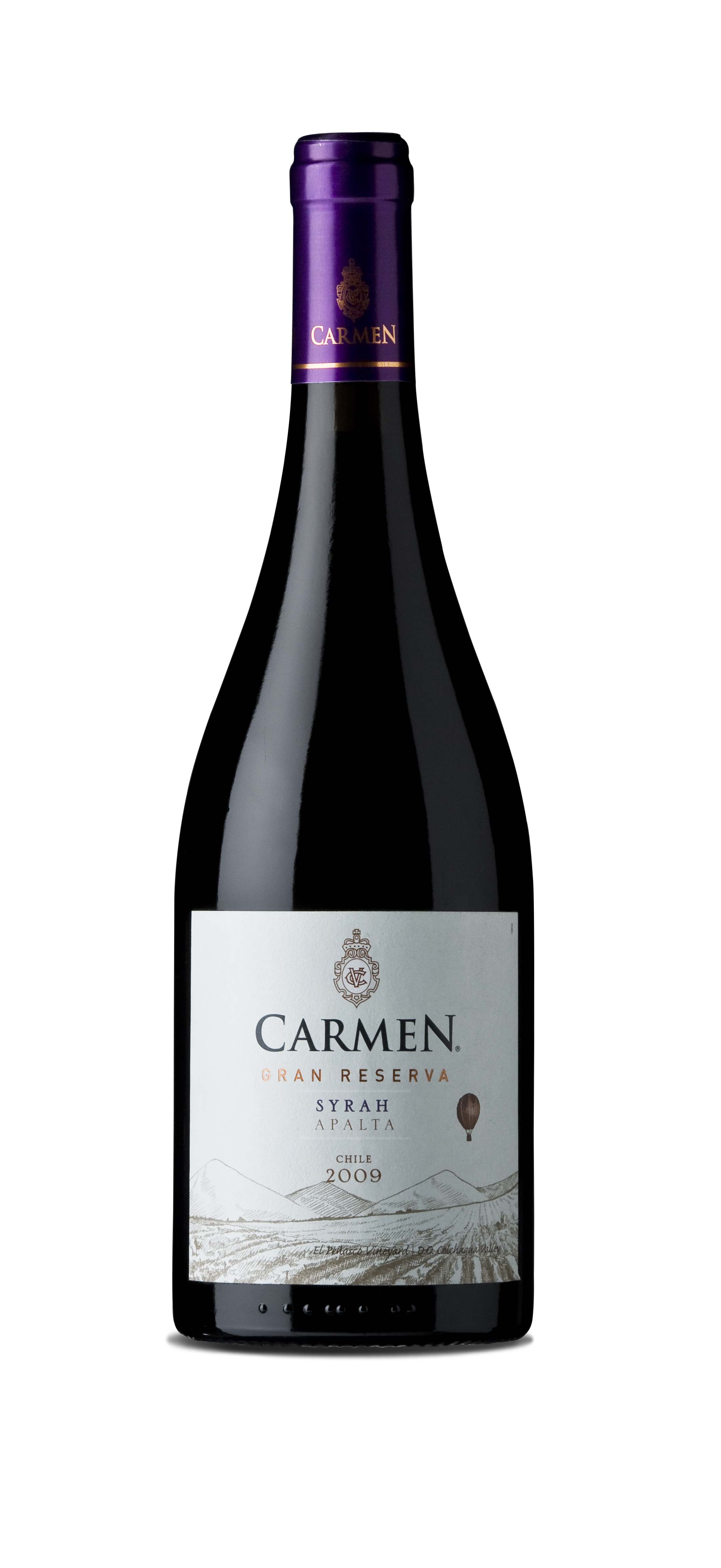 Carmen Wines Gran Reserva Syrah 2009 Expert Wine Review Natalie Maclean