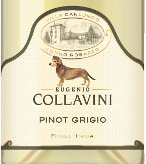 Collavini Pinot Grigio IGT Expert Wine Review: Natalie MacLean